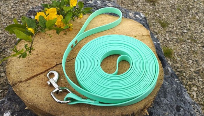 Pourquoi choisir une longe plutôt qu'une laisse courte pour son chien